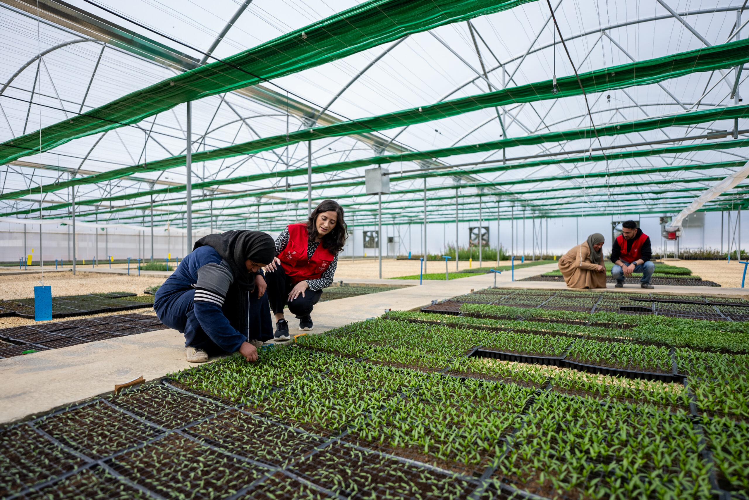 World Humanitarian Aid Day: Order of Malta serving the most vulnerable ...